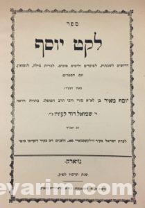 Rabbi Yosef Meir Levin | kevarim.com