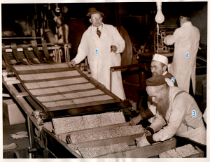 Horowitz Brothers and Margareten Company | kevarim.com